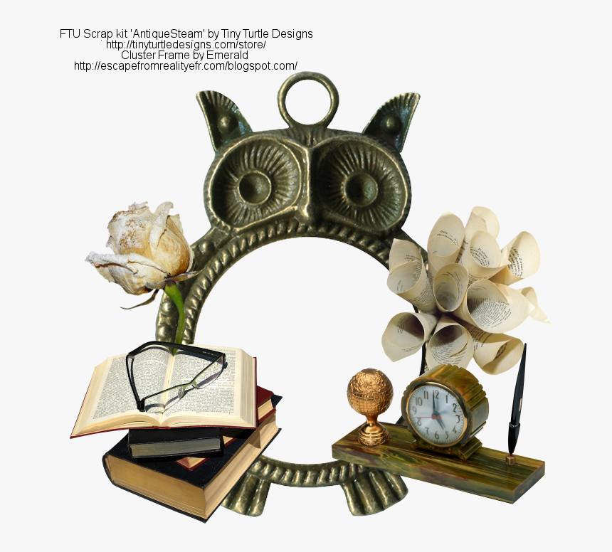 Logical Order Of God's Decrees, HD Png Download , Transparent Png Image ...