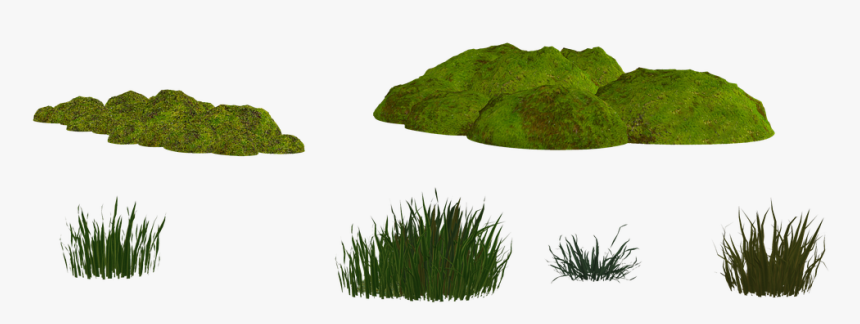 Moss Transparent Png, Png Download , Transparent Png Image - PNGitem