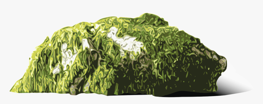 Moos Clipart, HD Png Download , Transparent Png Image - PNGitem