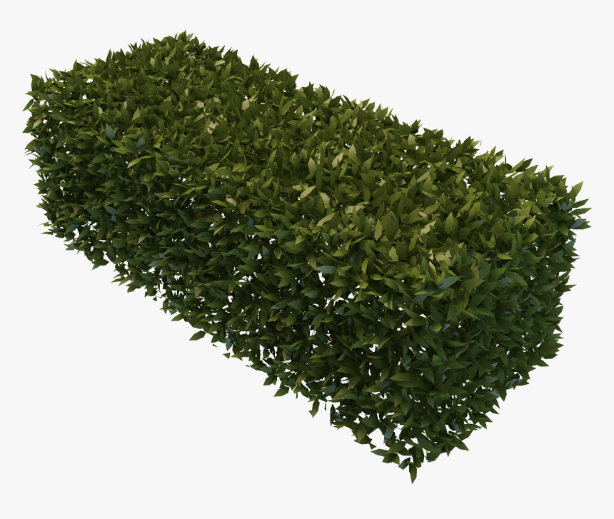 Best Free Hedges Png Image - Transparent Background Hedges Png, Png ...