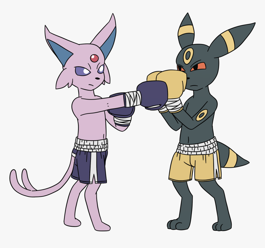 Eevee Boxing, HD Png Download , Transparent Png Image - PNGitem