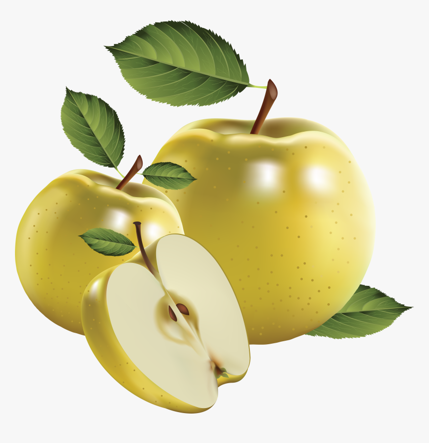Green Apple S Png Image - Realistic Fruit Vector, Transparent Png ...