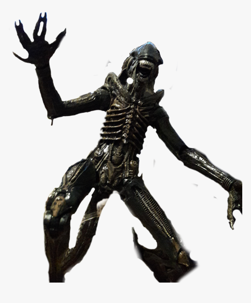Transparent Alien Xenomorph Png - Xenomorph Png, Png Download ...