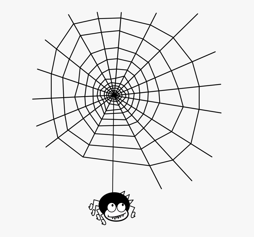 Maths In Spider Webs, HD Png Download , Transparent Png Image - PNGitem