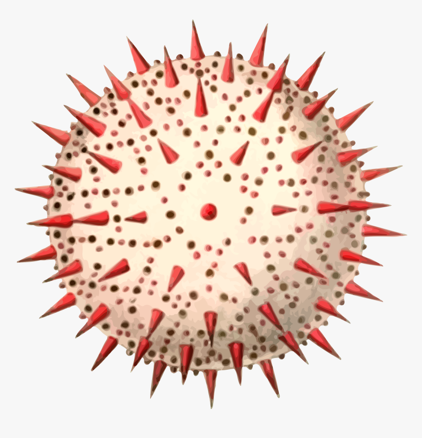 Grain, Plant, Pollen, Reproduction, Seed - Pollen Grain Png ...