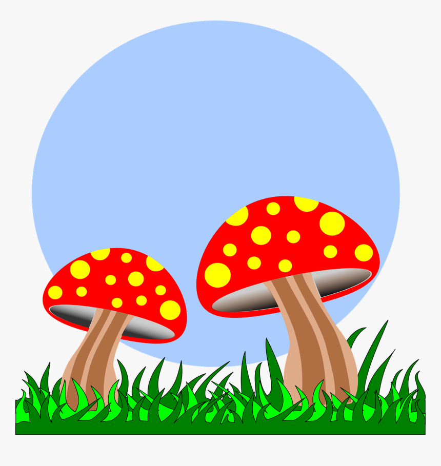 Fungi Cartoon, HD Png Download , Transparent Png Image - PNGitem