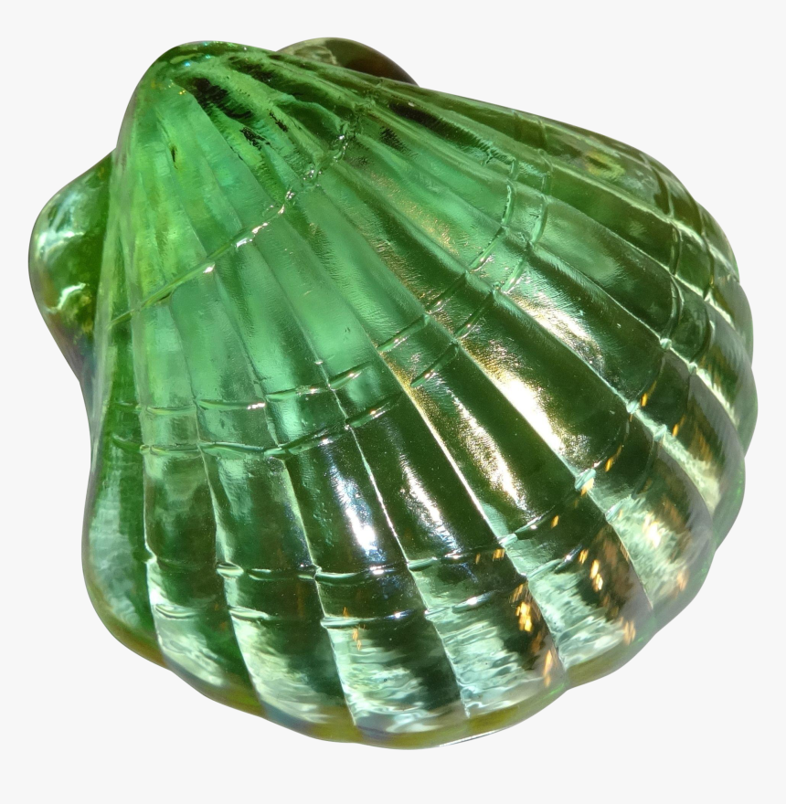 Green Shell Png, Transparent Png , Transparent Png Image - PNGitem