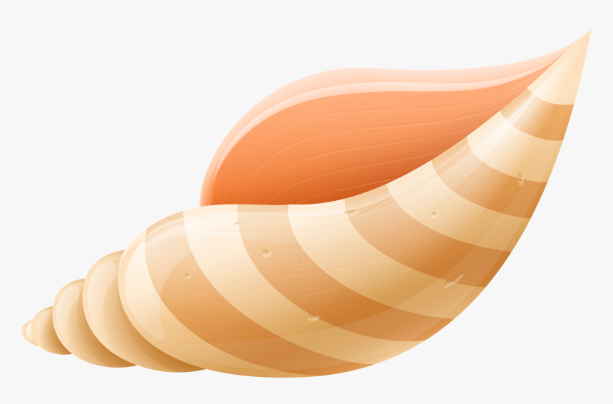 Sea Shell Png Clip Art Image - Sea Shells Clip Art Png, Transparent Png ...