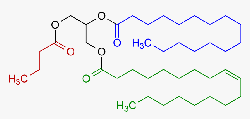 Triglyceride V - Structure, HD Png Download , Transparent Png Image ...