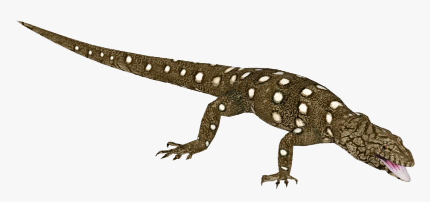 Monitor Lizard , Png Download - Monitor Lizard, Transparent Png ...