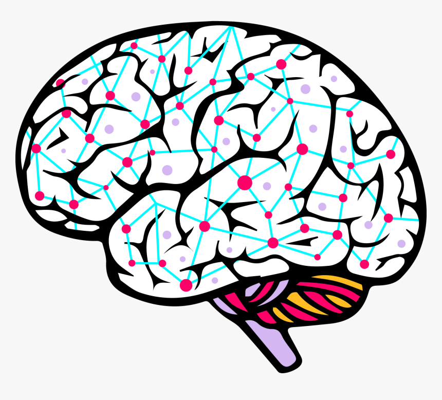 Brain Side View Vector Clipart , Png Download - Brain Side View Vector ...