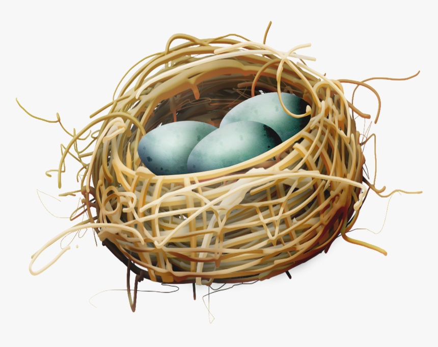 Bird Egg Clipart