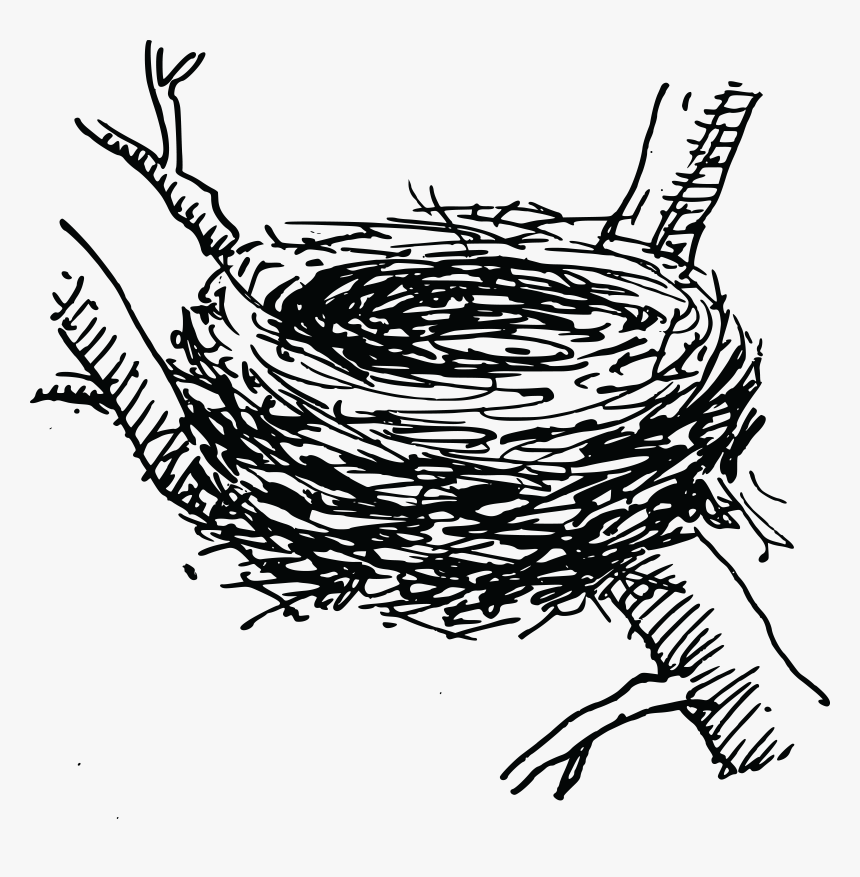 Free Clipart Of A Bird Nest - Clip Art Bird Nest, HD Png Download ...