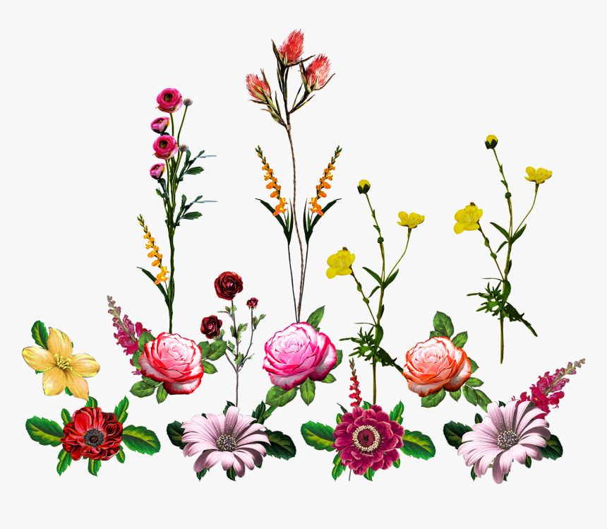 Flower Png Vector Images | Best Flower Site