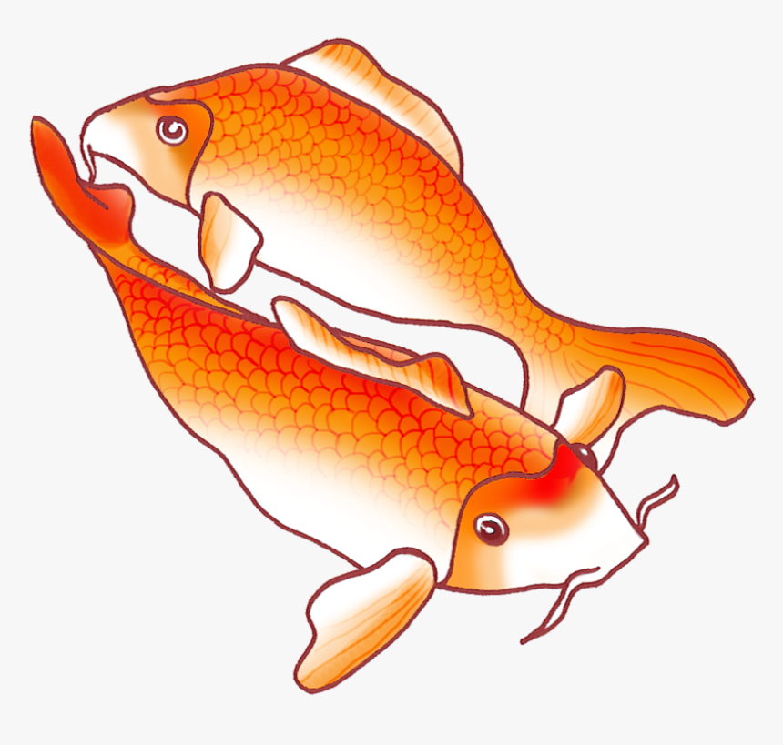 Two Fish Png - Orange Koi Fish Drawing, Transparent Png , Transparent ...
