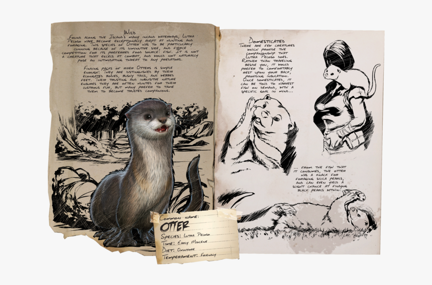 Ark Survival Otter, HD Png Download , Transparent Png Image - PNGitem