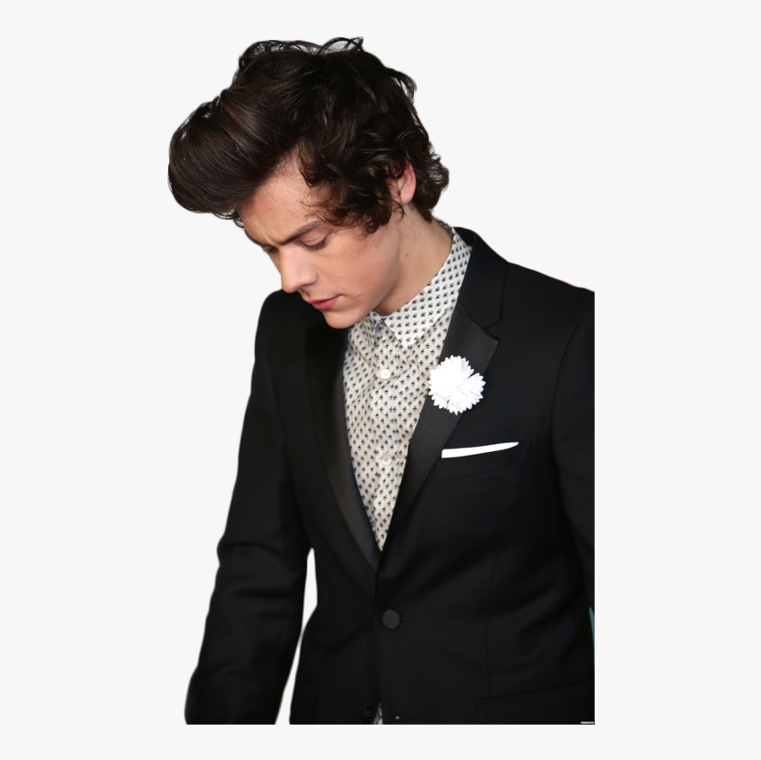 Harry Styles Transparent Png - Harry Styles Im Sorry, Png Download ...
