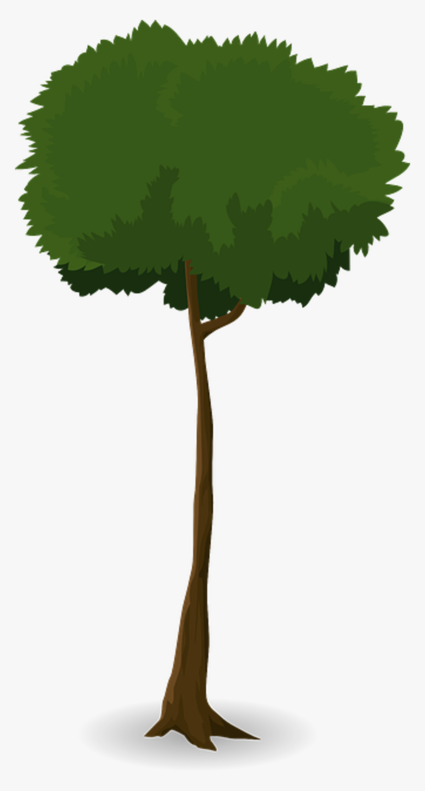 Tree Trunk Nature Leaves Branches Graphic Organic - Trunk, HD Png ...