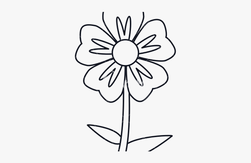 Flower Outline Images - Floweers Outline, HD Png Download , Transparent ...
