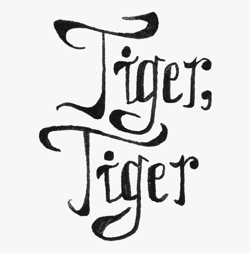 Tiger Written In Different Fonts, HD Png Download , Transparent Png ...