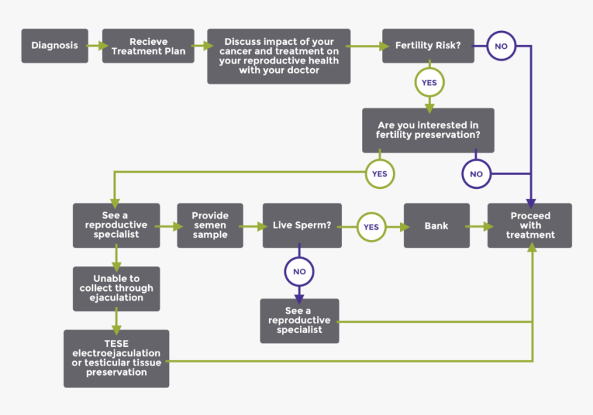 1216 25 Onco Patientmens Proof Feb9 3 - Ddos Incident Response ...