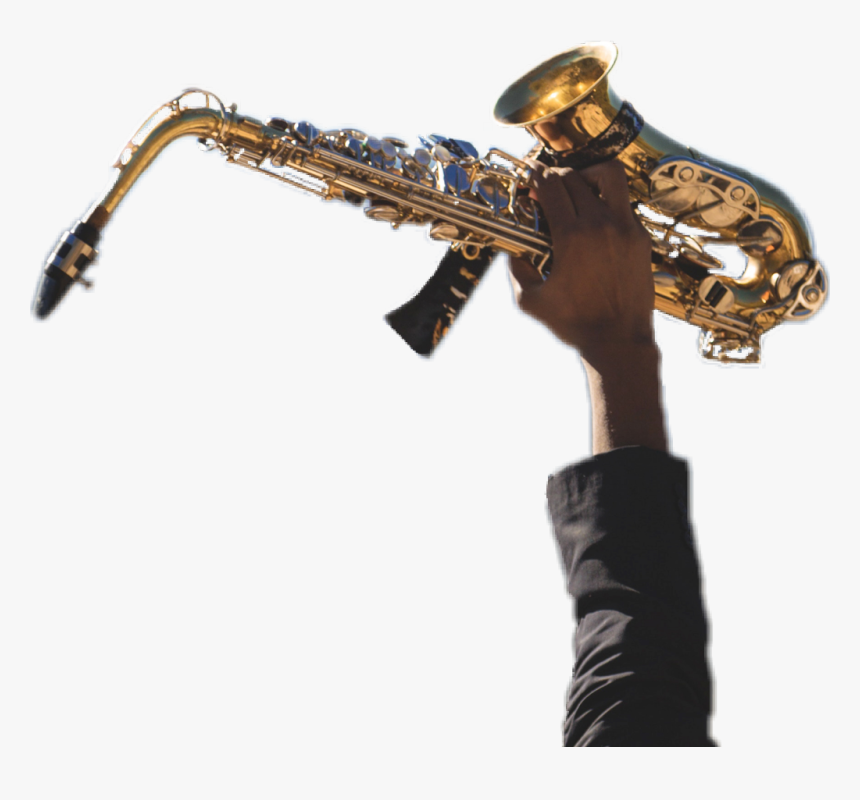Musician, HD Png Download , Transparent Png Image - PNGitem