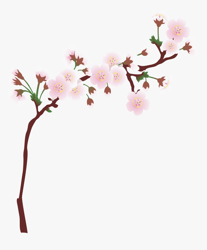 Cherry Blossom Border Background