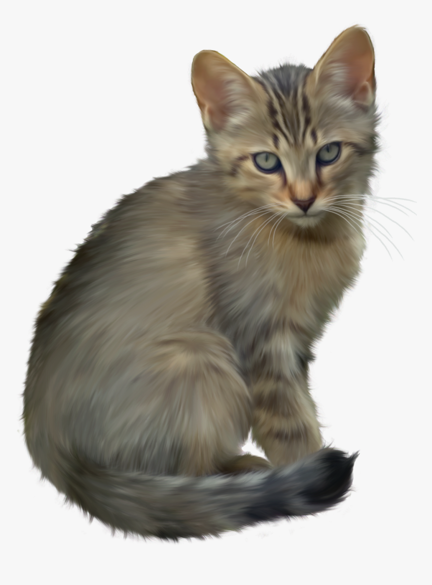 Kitten Transparent - Cute Kittens Clip Art, HD Png Download ...