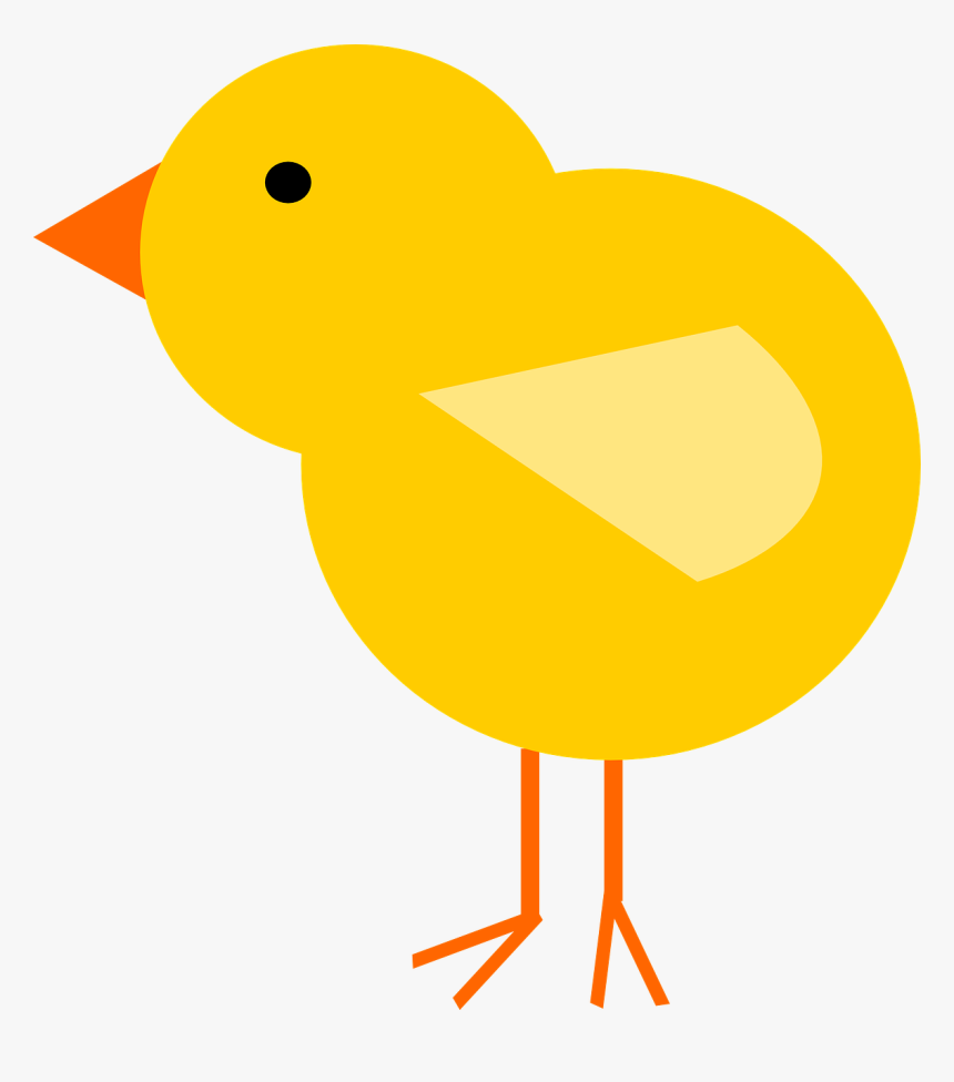 Chick, Bird, Easter, Spring, Animal, Feather - Chick Clipart Png ...