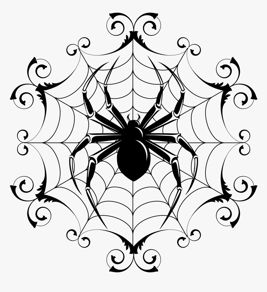 Cool Spider Web Drawings