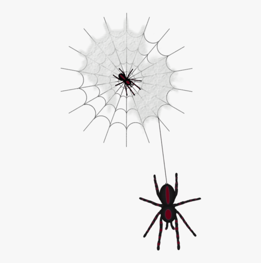 Halloween Spiders Background