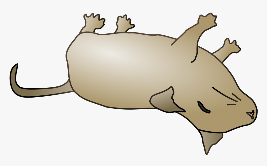 Transparent Dead Rat Png - Dead Animal Cartoon Transparent, Png ...