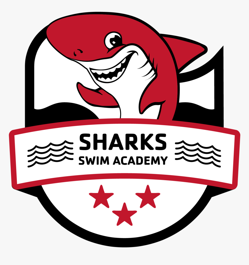 Swimming Ymca Of The North Shore Png Ymca Logo Rules, Transparent Png ...