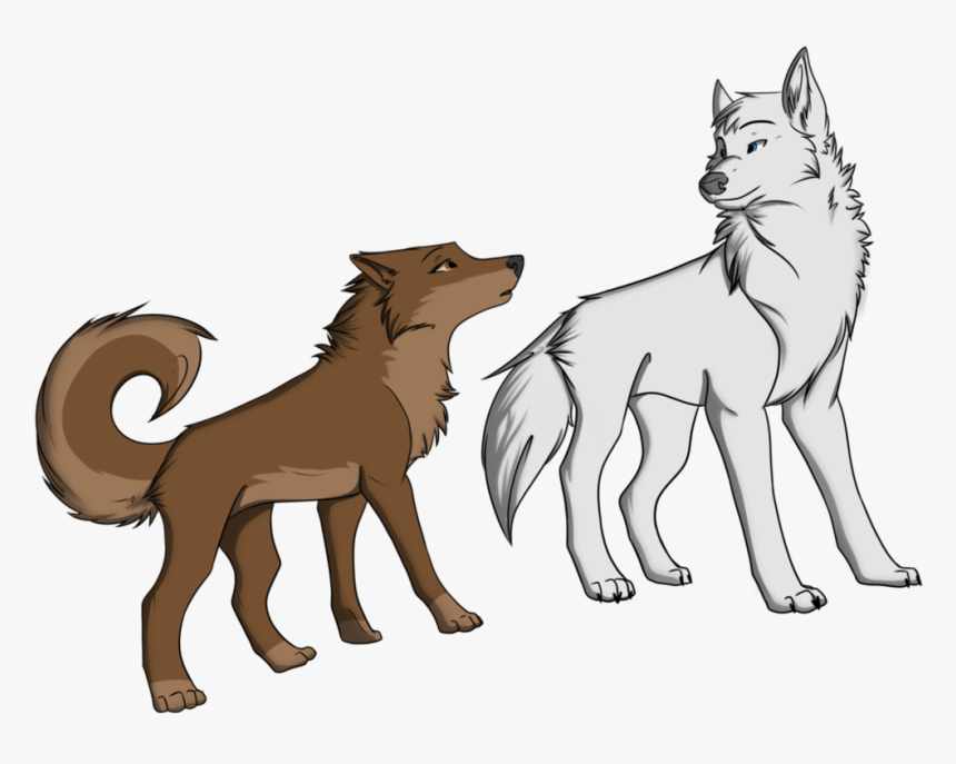 Brown Wolf With White Wolf, HD Png Download , Transparent Png Image ...