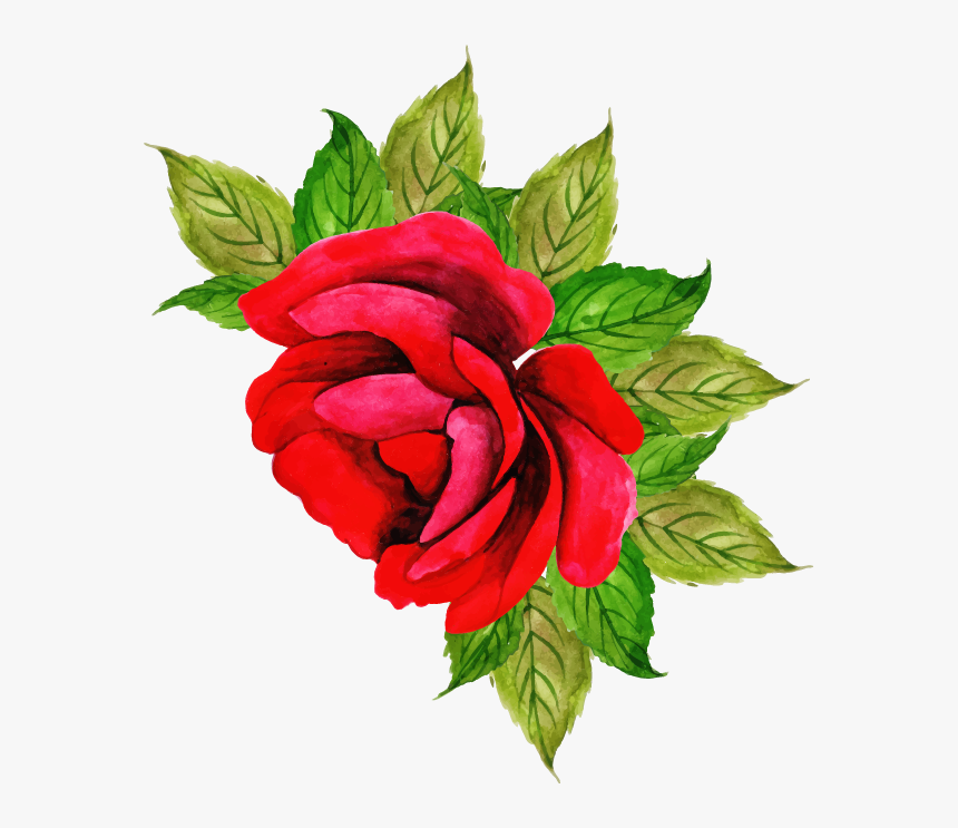 Hybrid Tea Rose, HD Png Download , Transparent Png Image - PNGitem
