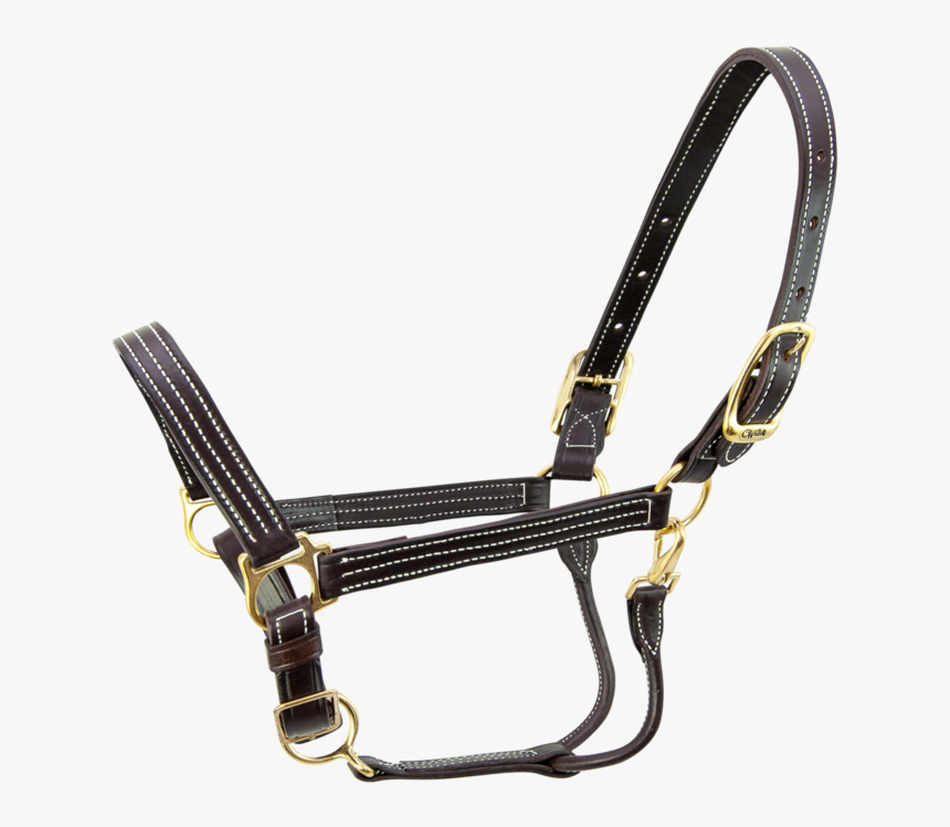 Kentucky Halter - - Kentucky Horse Halters, HD Png Download ...