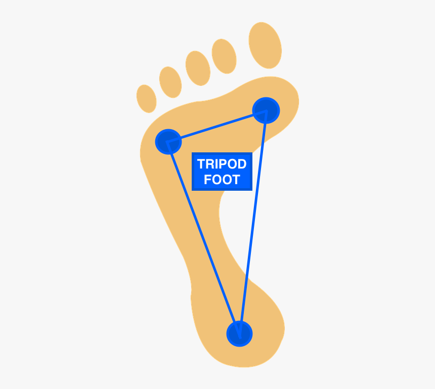 Foot Png, Transparent Png , Transparent Png Image - PNGitem