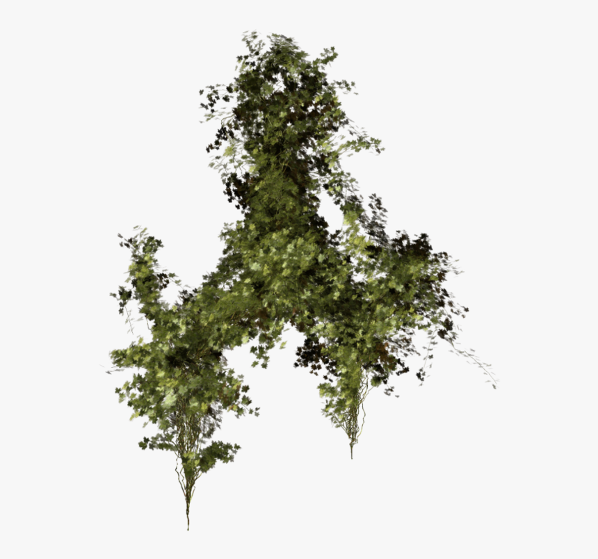Vegetation Png - Végétation Png, Transparent Png , Transparent Png ...