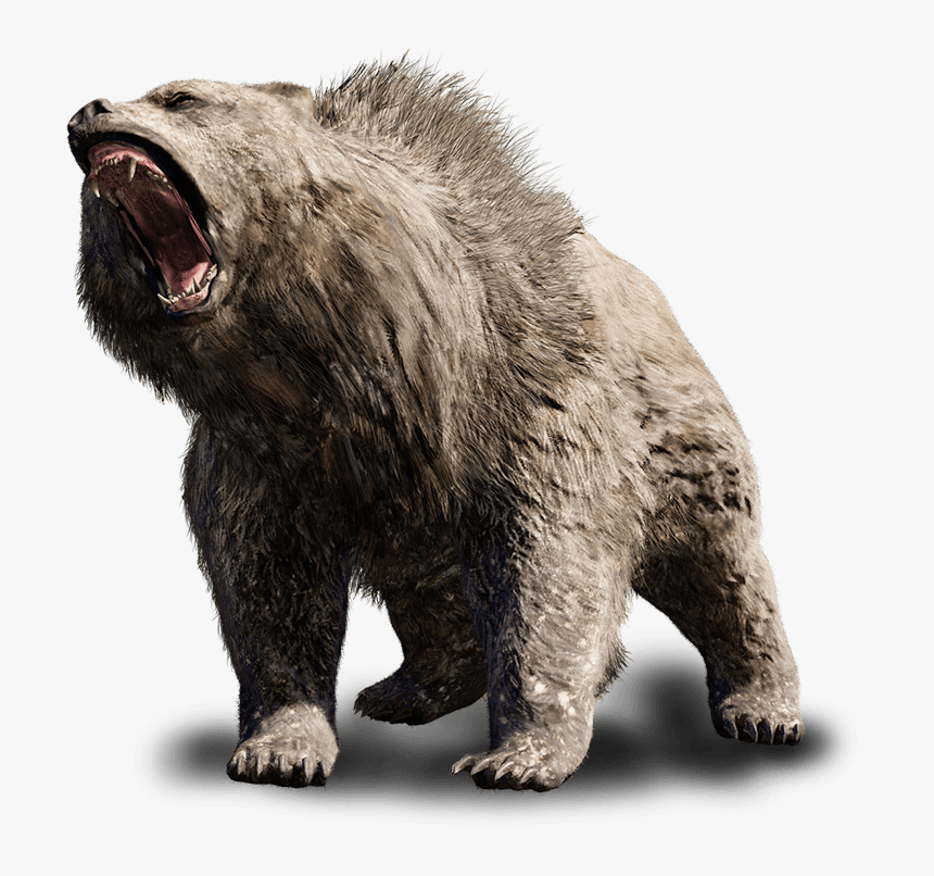 Animals, Antagonist, Great Scar Bear Steemit, HD Png Download ...