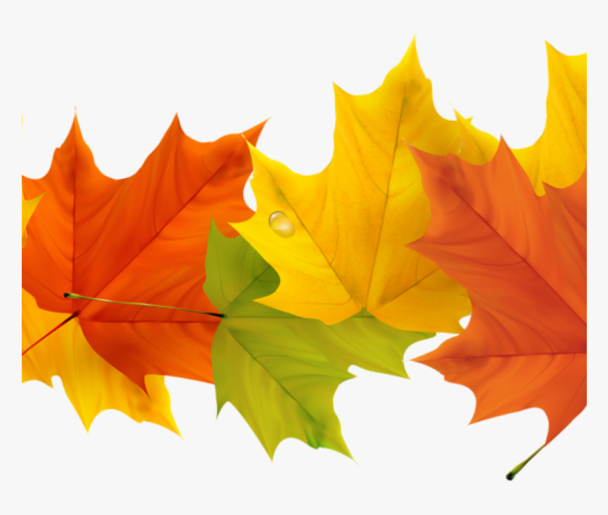 Free Fall Leaf Clip Art 19 Free Graphic Free Fall Leaves, HD Png ...