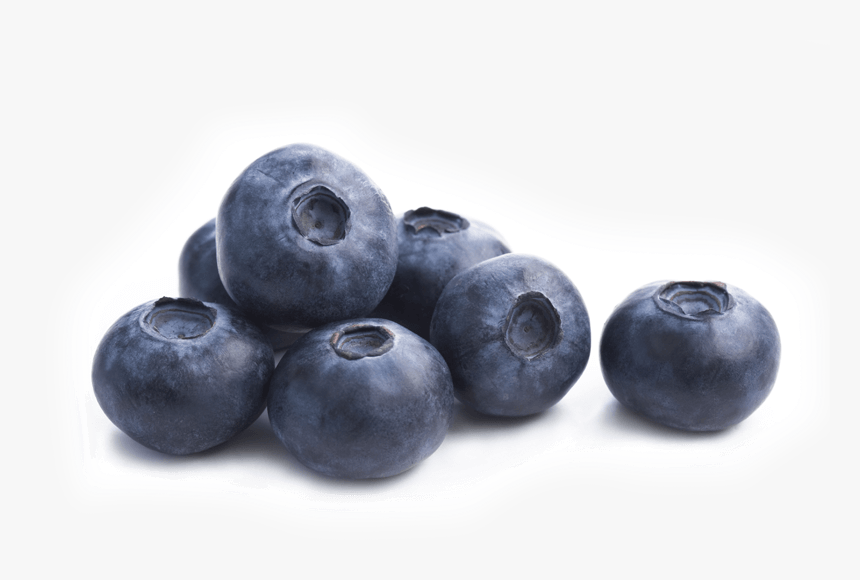 Single Blueberry Png, Transparent Png , Transparent Png Image - PNGitem
