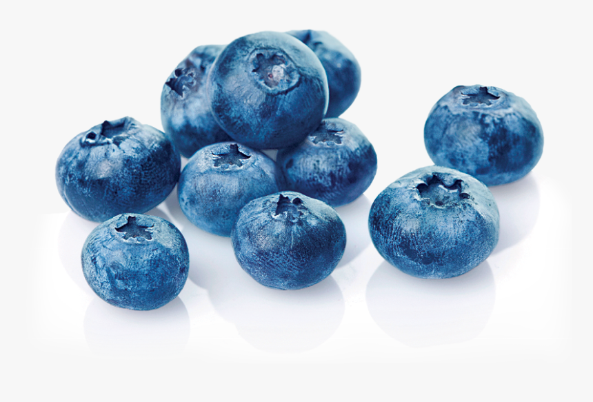 Blueberries Png, Transparent Png , Transparent Png Image - PNGitem