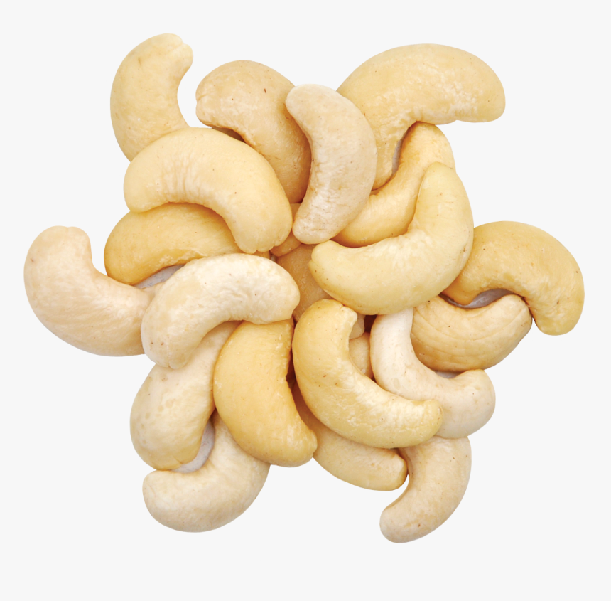Nut Png, Transparent Png , Transparent Png Image - PNGitem