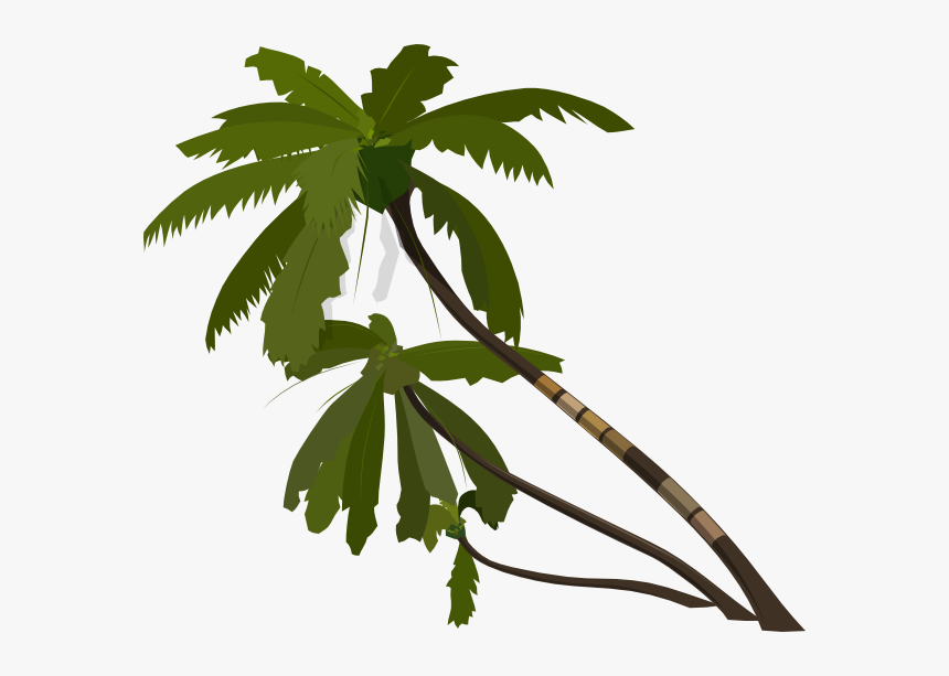 Jungle Tree Vector Png, Transparent Png , Transparent Png Image - PNGitem