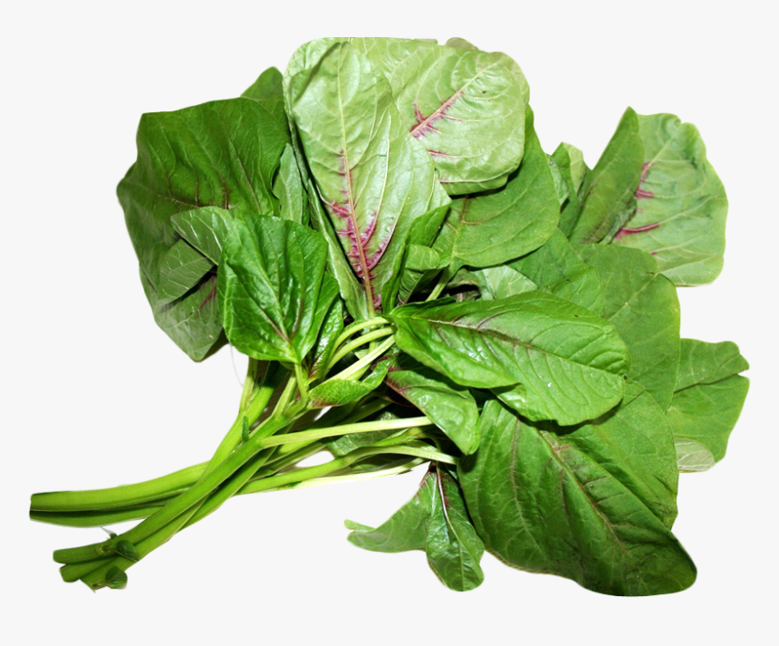 Amaranth Leaves Png Image, Transparent Png , Transparent Png Image ...