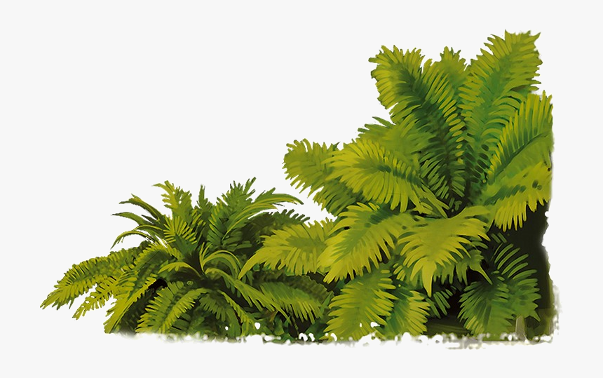 Jungle , Png Download, Transparent Png , Transparent Png Image - PNGitem
