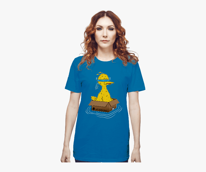 Big Bird Png, Transparent Png , Transparent Png Image - PNGitem