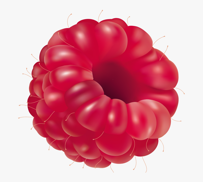 Raspberry Png Clipart, Transparent Png , Transparent Png Image - PNGitem