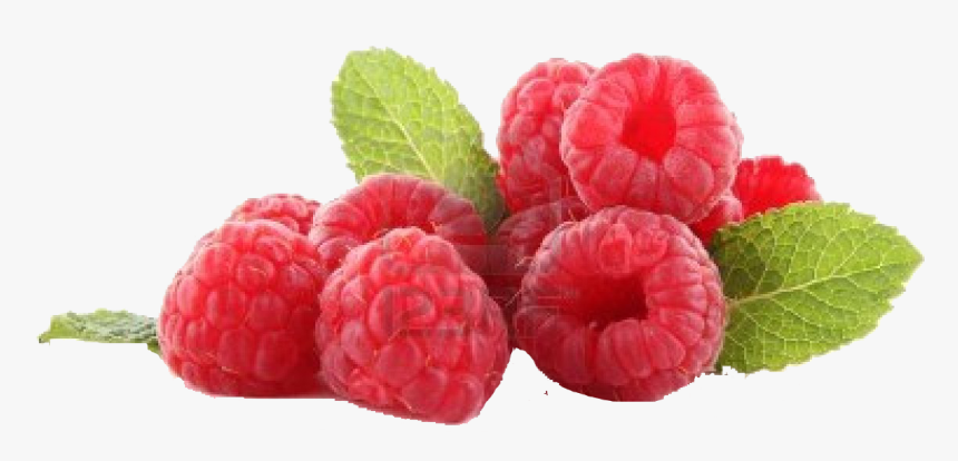 Raspberry Transparent File, HD Png Download , Transparent Png Image ...