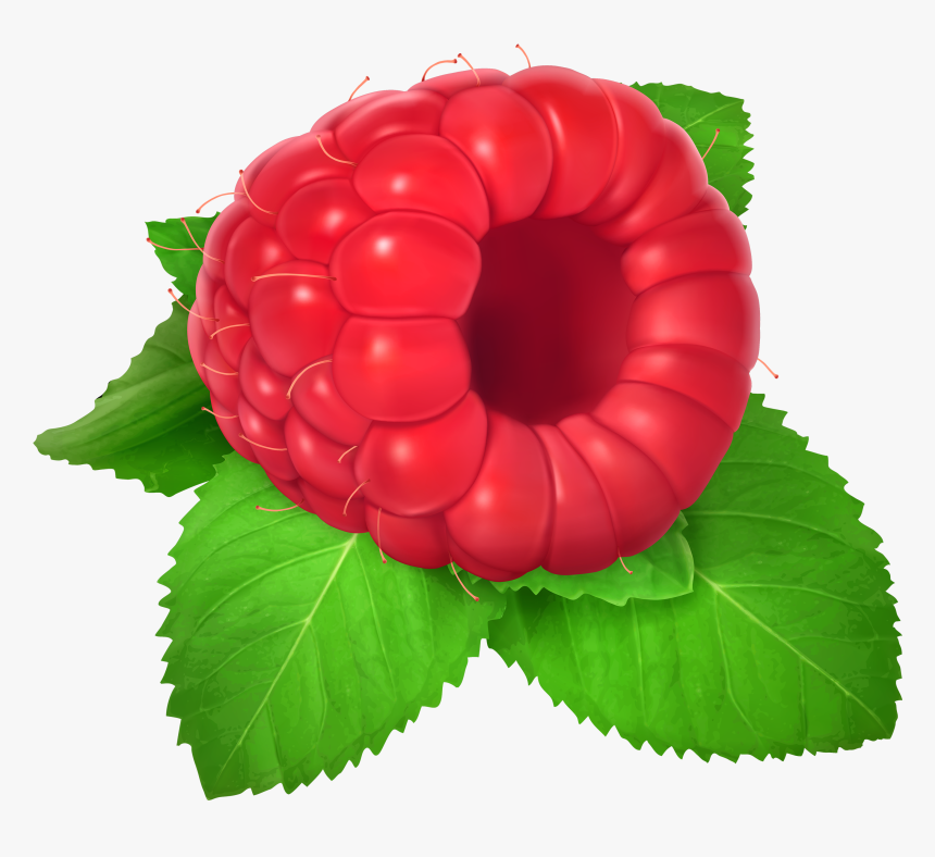 Raspberry Png Clipart, Transparent Png , Transparent Png Image - PNGitem